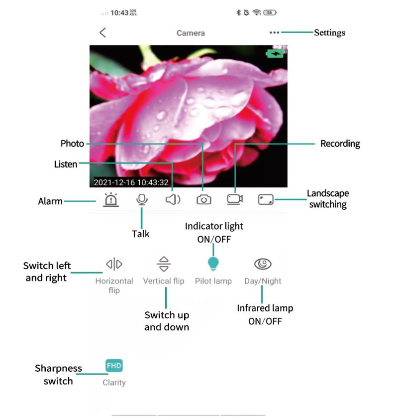 How To SetUp JXLCAM Camera - NVR IPCAMERA SECURITY